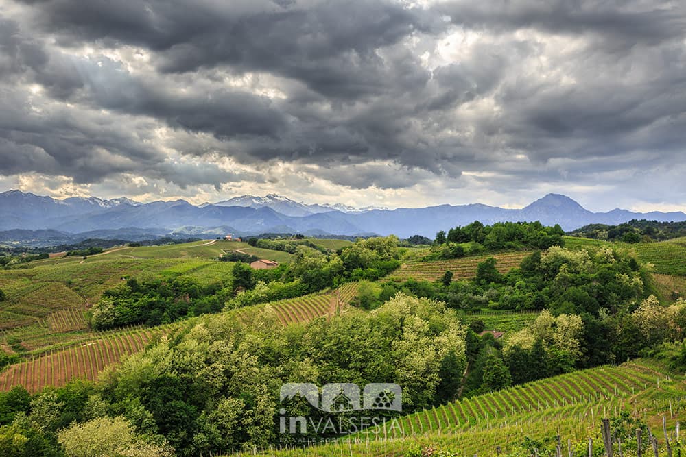 10 cose da fare assolutamente a Gattinara | Visit Gattinara